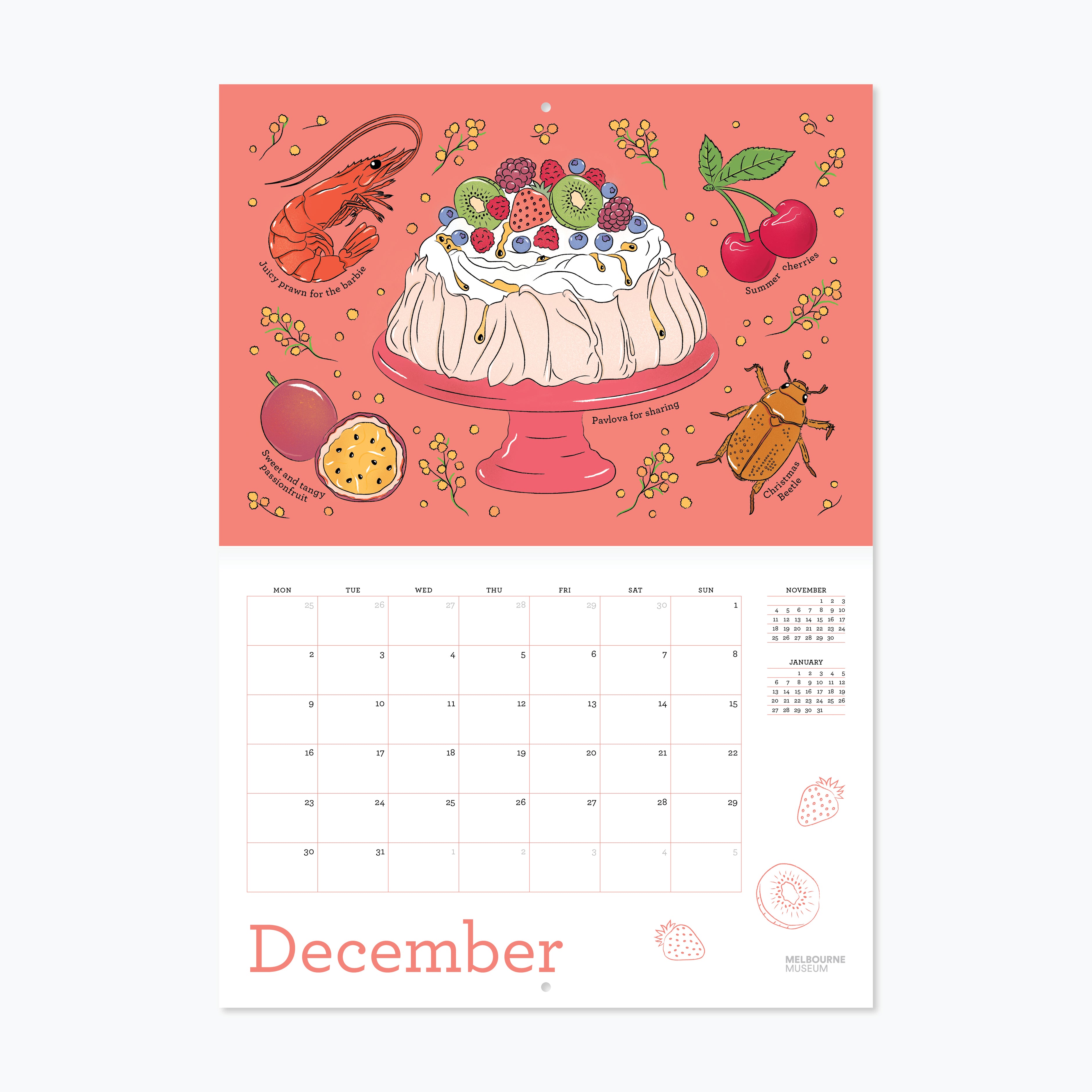 Sale – Museums Victoria Store