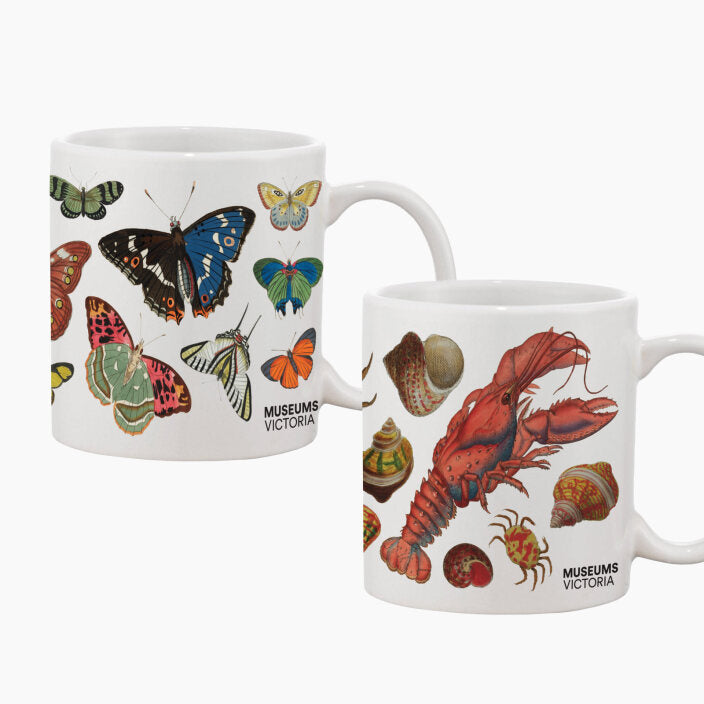 Museums Victoria Rare Book Mugs – Museums Victoria Store