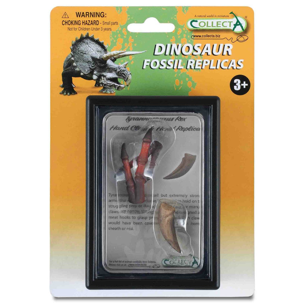 T.Rex Claw & Hand (WDB) – Museums Victoria Store