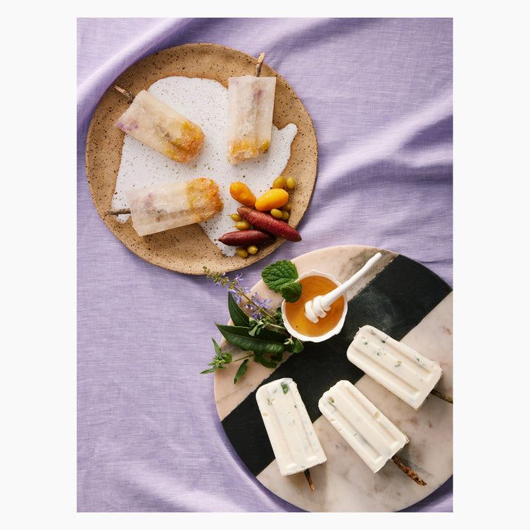 First Nations Food Companion – Museums Victoria Store