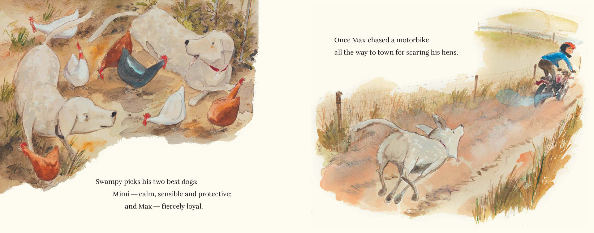 Kids Books 5-7 Years – Museums Victoria Store