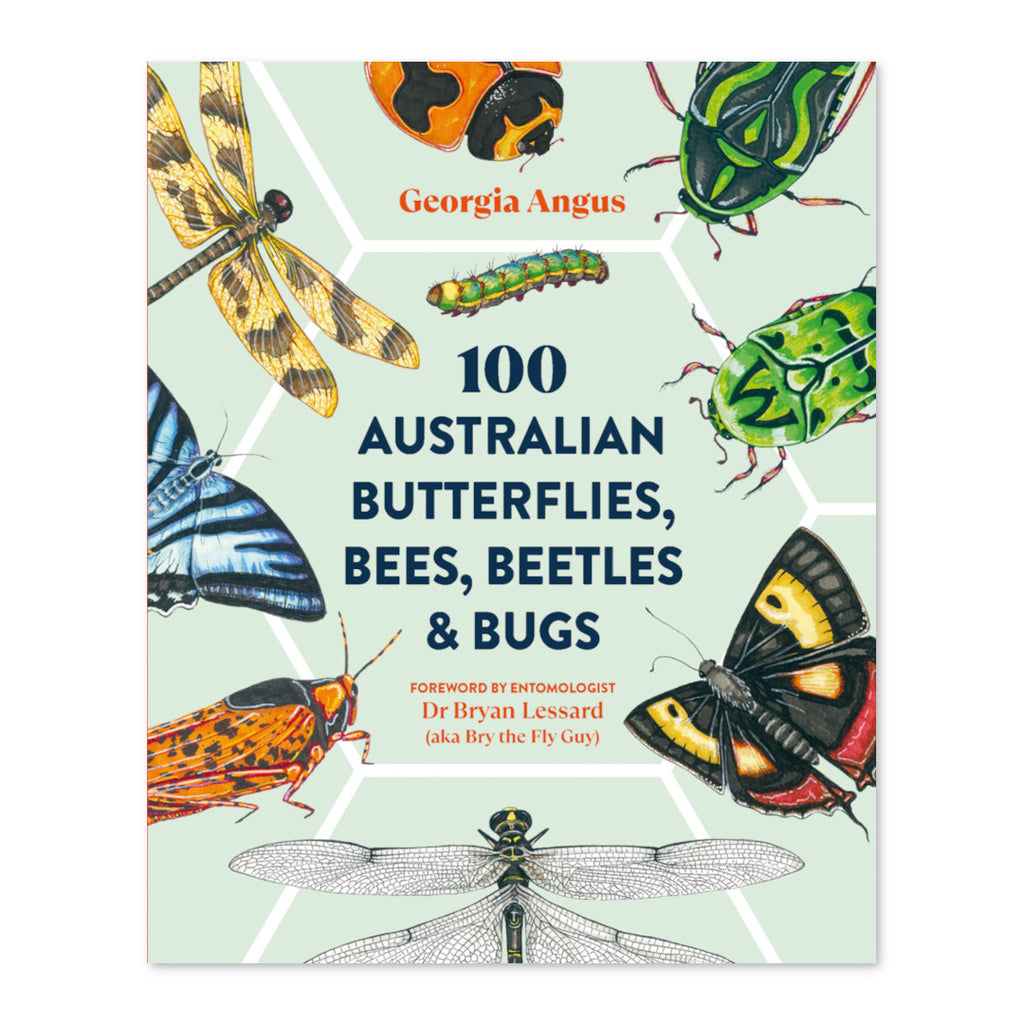 100 Australian Butterflies, Bees, Beetles & Bugs – Museums Victoria Store