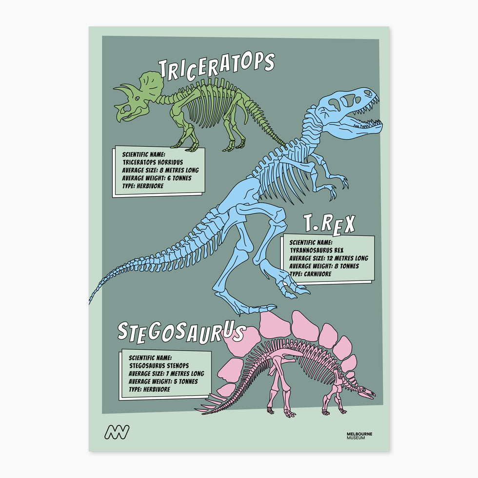 A4 Dino Facts Poster Pack – Museums Victoria Store