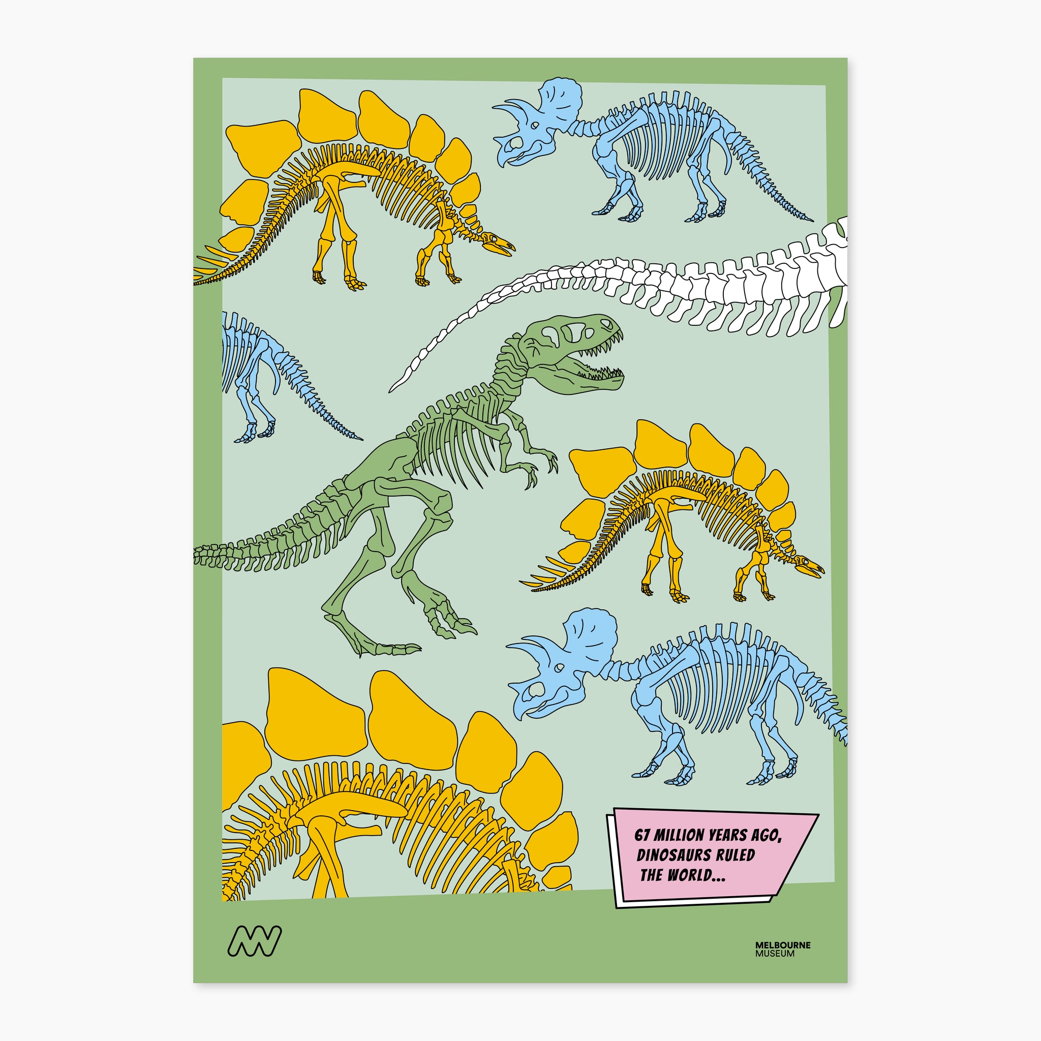 A4 Dino Facts Poster Pack – Museums Victoria Store