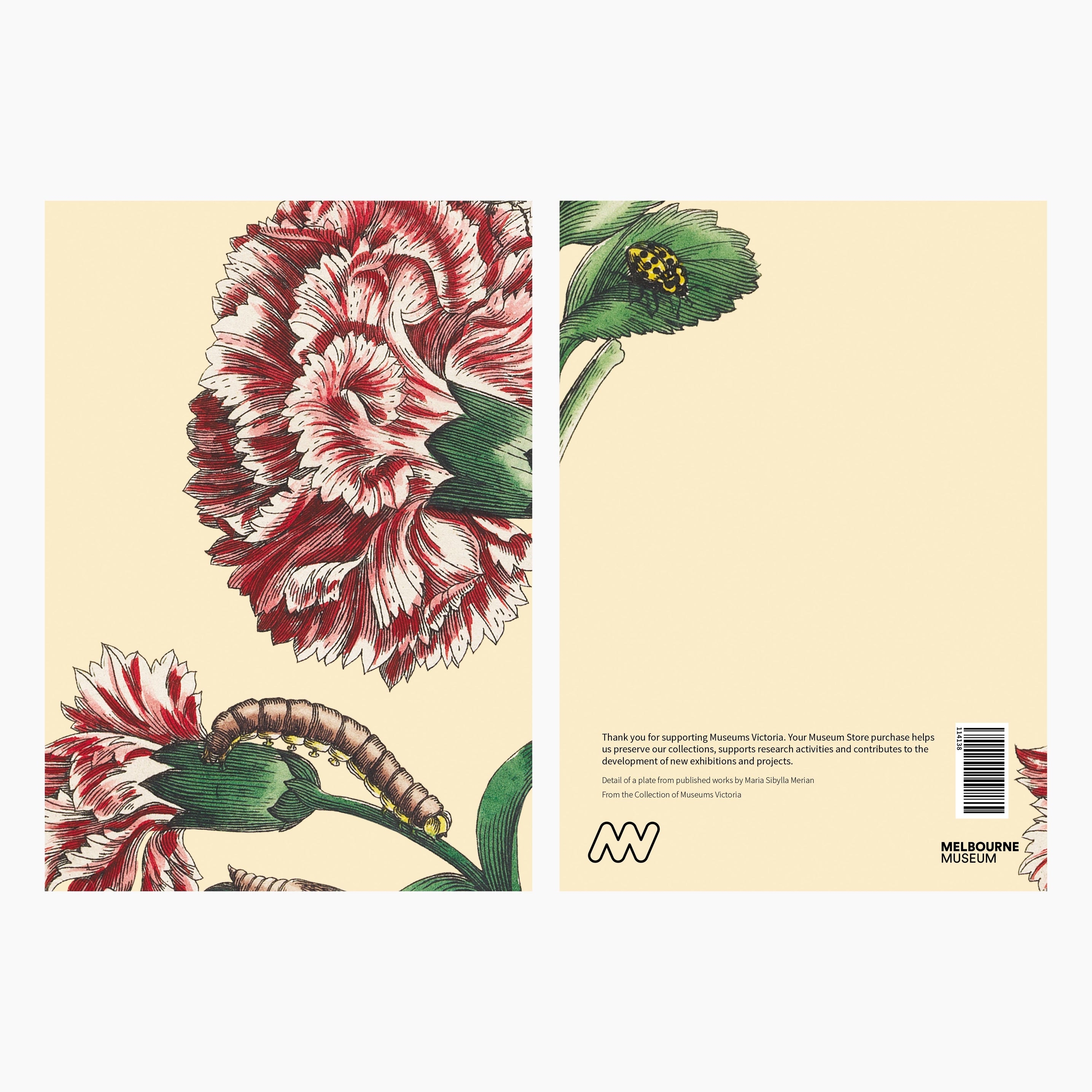 Melbourne Museum Greeting Card – Museums Victoria Store