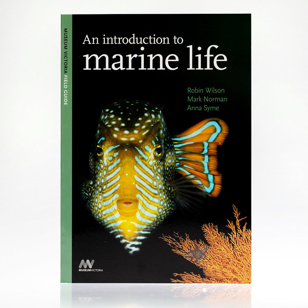 An Introduction to Marine Life - Museums Victoria Store