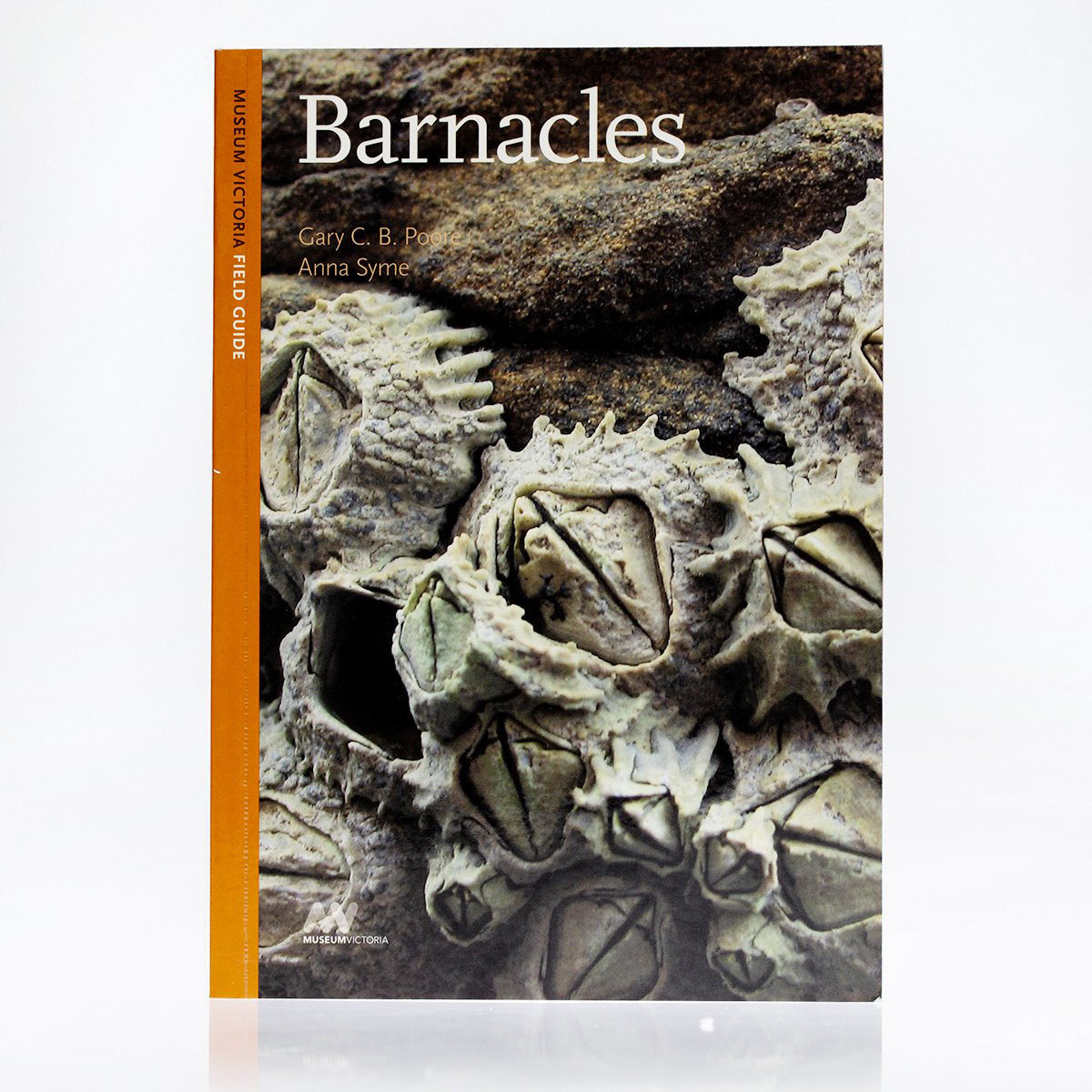 Barnacles - Museums Victoria Store