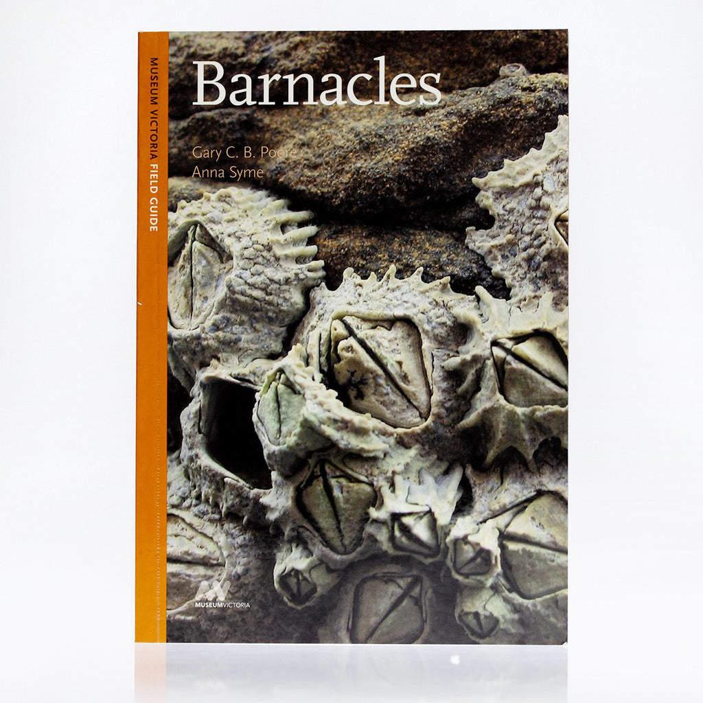 Barnacles - Museums Victoria Store