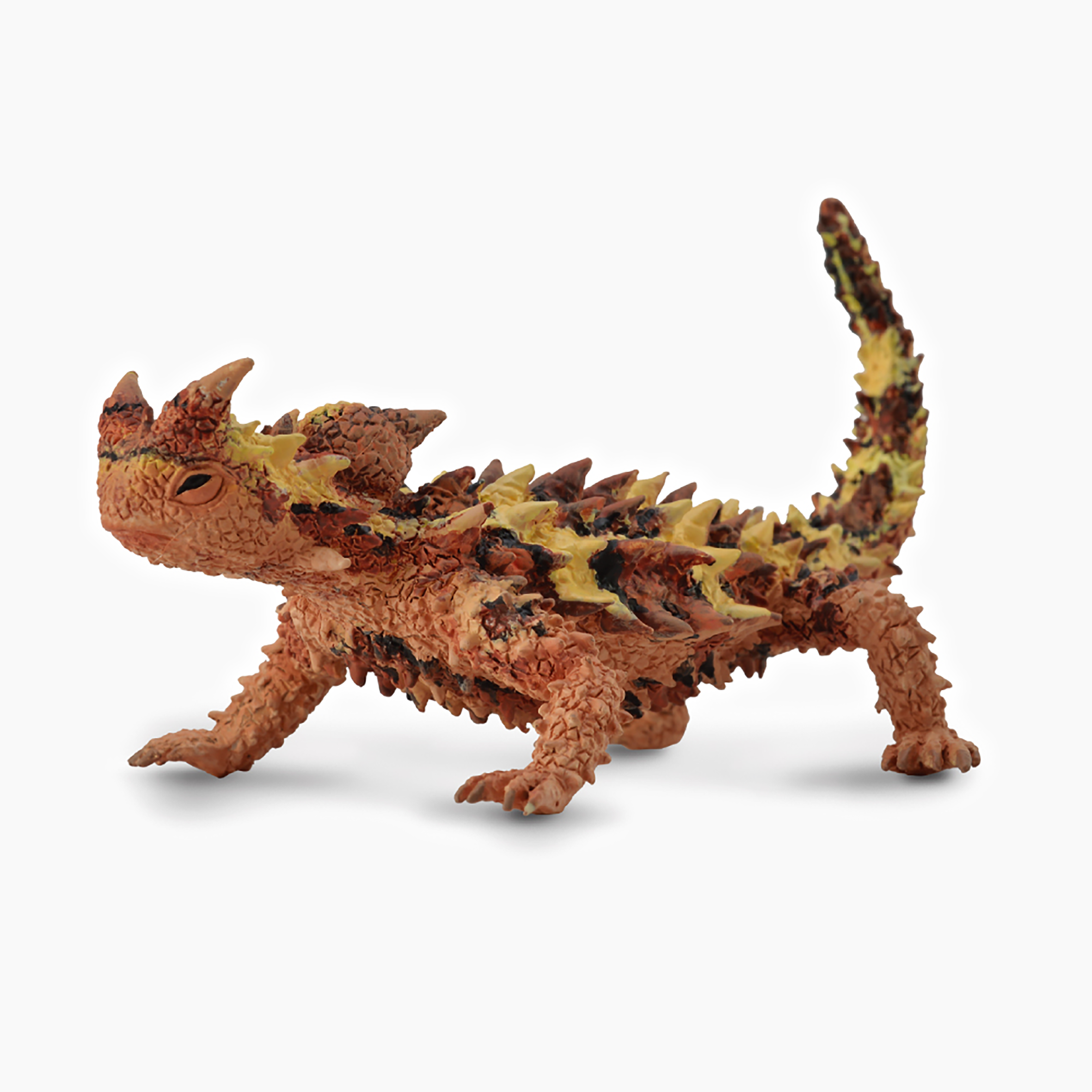 Thorny Dragon Replica – Museums Victoria Store