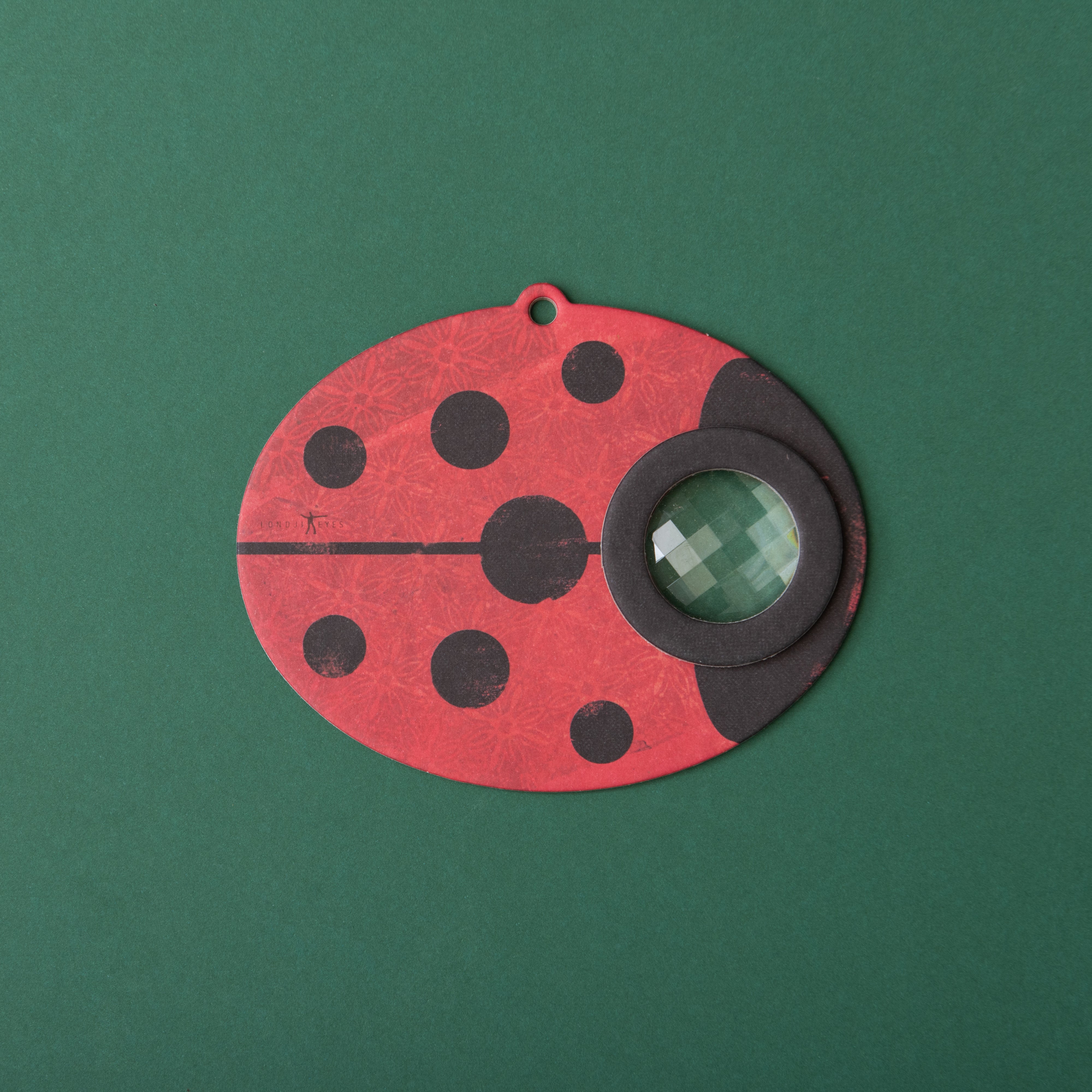 Ladybird Eye Kaleidoscope – Museums Victoria Store