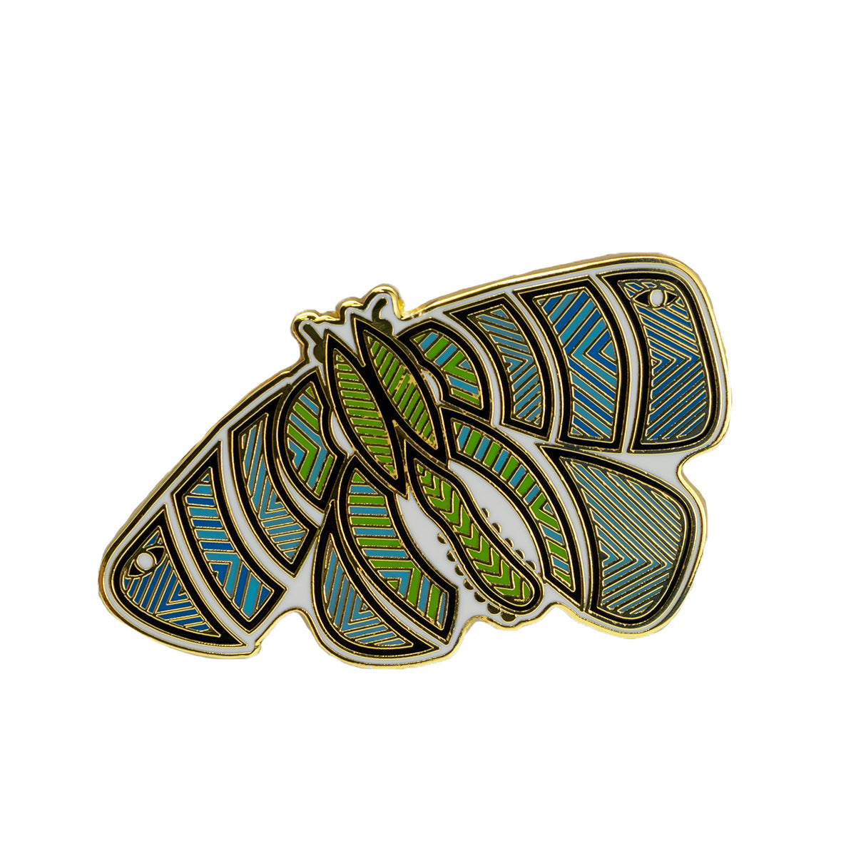 Blue Bogong Moth Pin – Museums Victoria Store