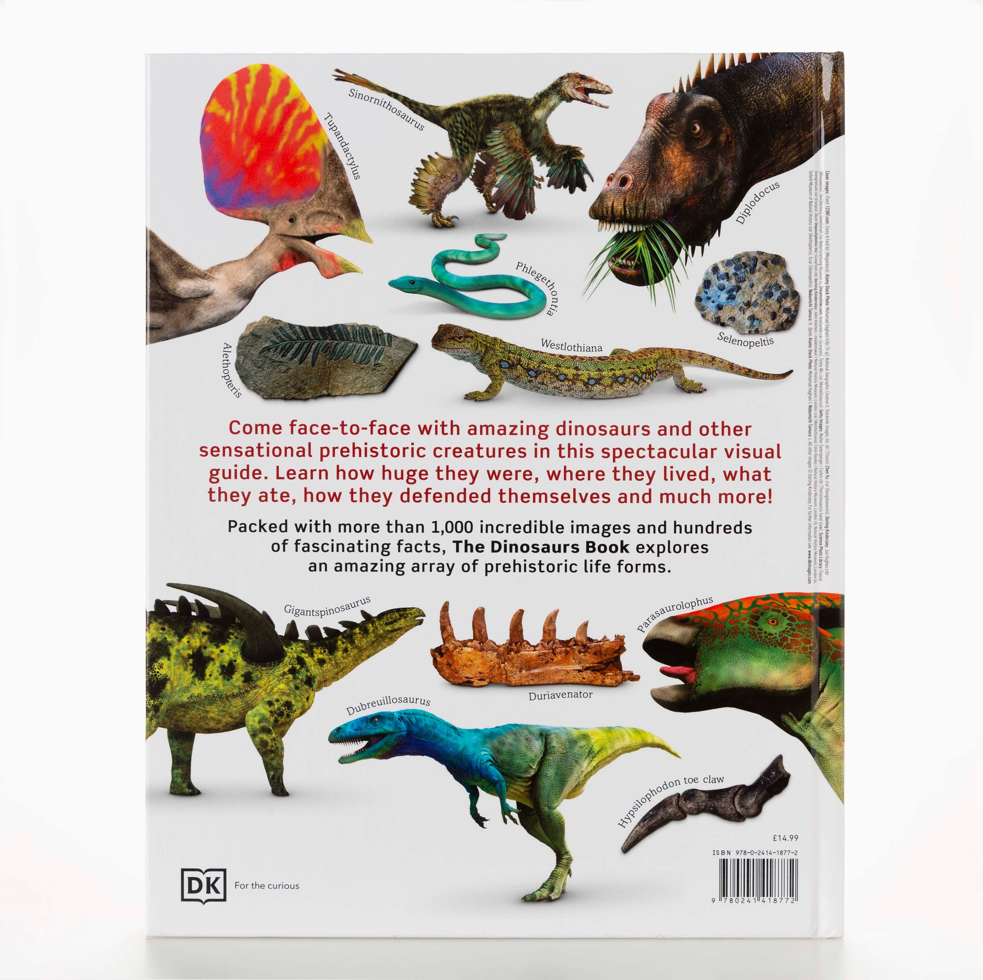 Dinosaur Books – Museums Victoria Store